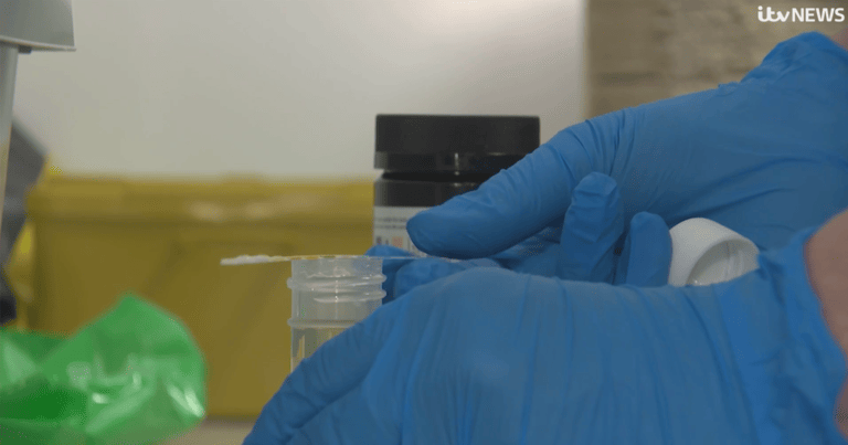 Expanded Urine Culture for Chronic UTI: Dr. Cat Anderson | Focus ...